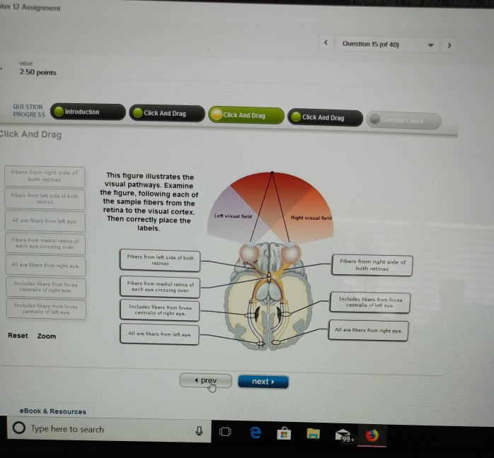 Solved ter 12 Assignment Question 15 (of 40) value 2.50 | Chegg.com