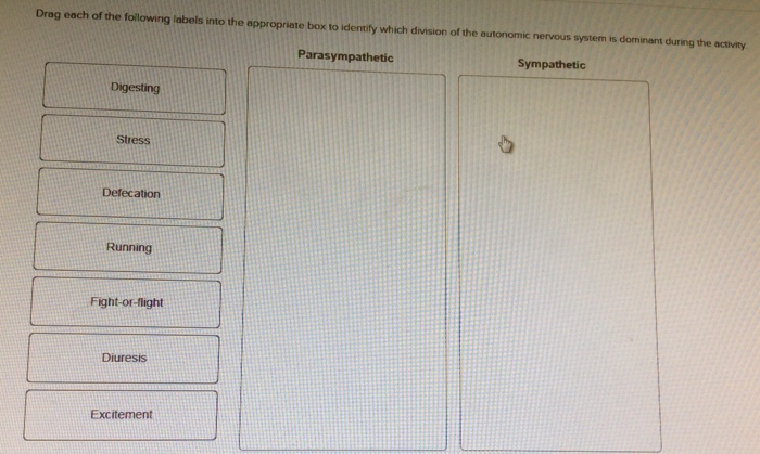 Solved Drag each of the following labels into the | Chegg.com