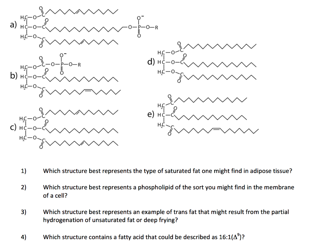 Solved a) HC-O -P-O-R HC-O HC-O O-R 1)Which structure best | Chegg.com