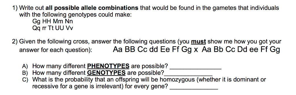 Solved 1) Write out all possible allele combinations that | Chegg.com