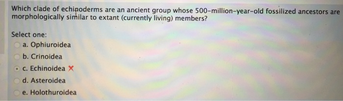 Solved Which clade of echinoderms are an ancient group whose | Chegg.com