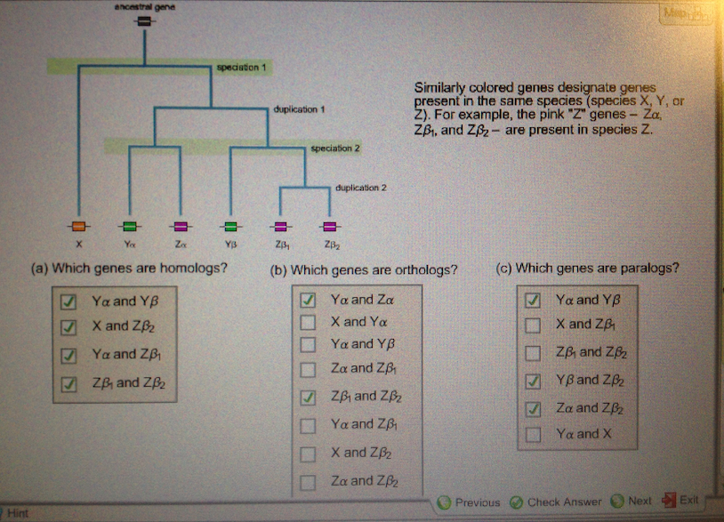 Solved Please help me this Biochemistry! An evolutionary | Chegg.com