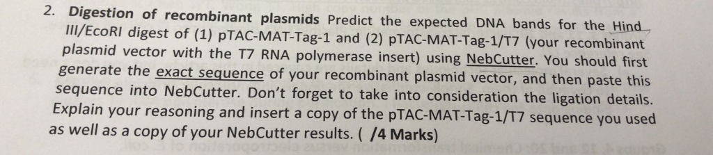 n of recombinant plasmids Predict the expected DNA | Chegg.com