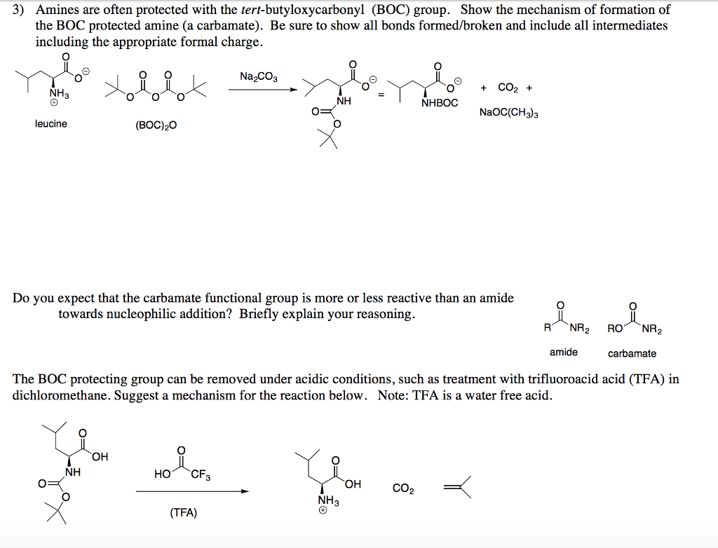 Solved 3) Amines are often protected with the | Chegg.com