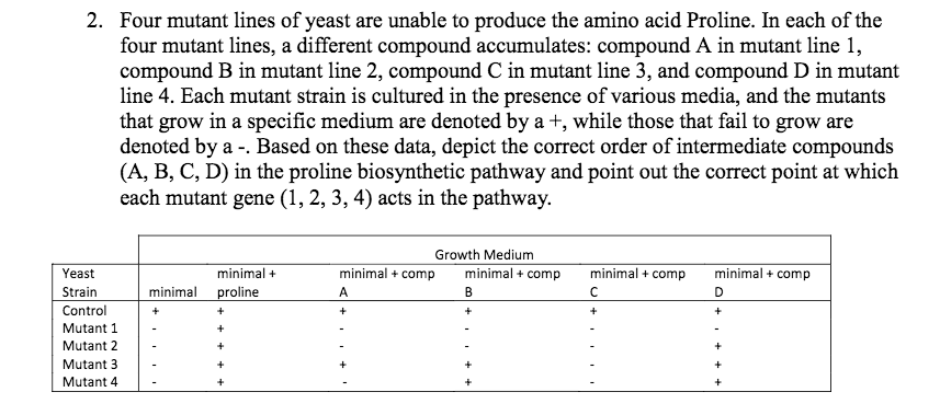 Solved Four mutant lines of yeast are unable to produce the | Chegg.com