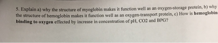 Solved Explain why the structure of myoglobin makes it | Chegg.com