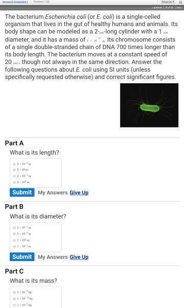 Solved The bacterium Escherichia coli (or E. coli) is a | Chegg.com