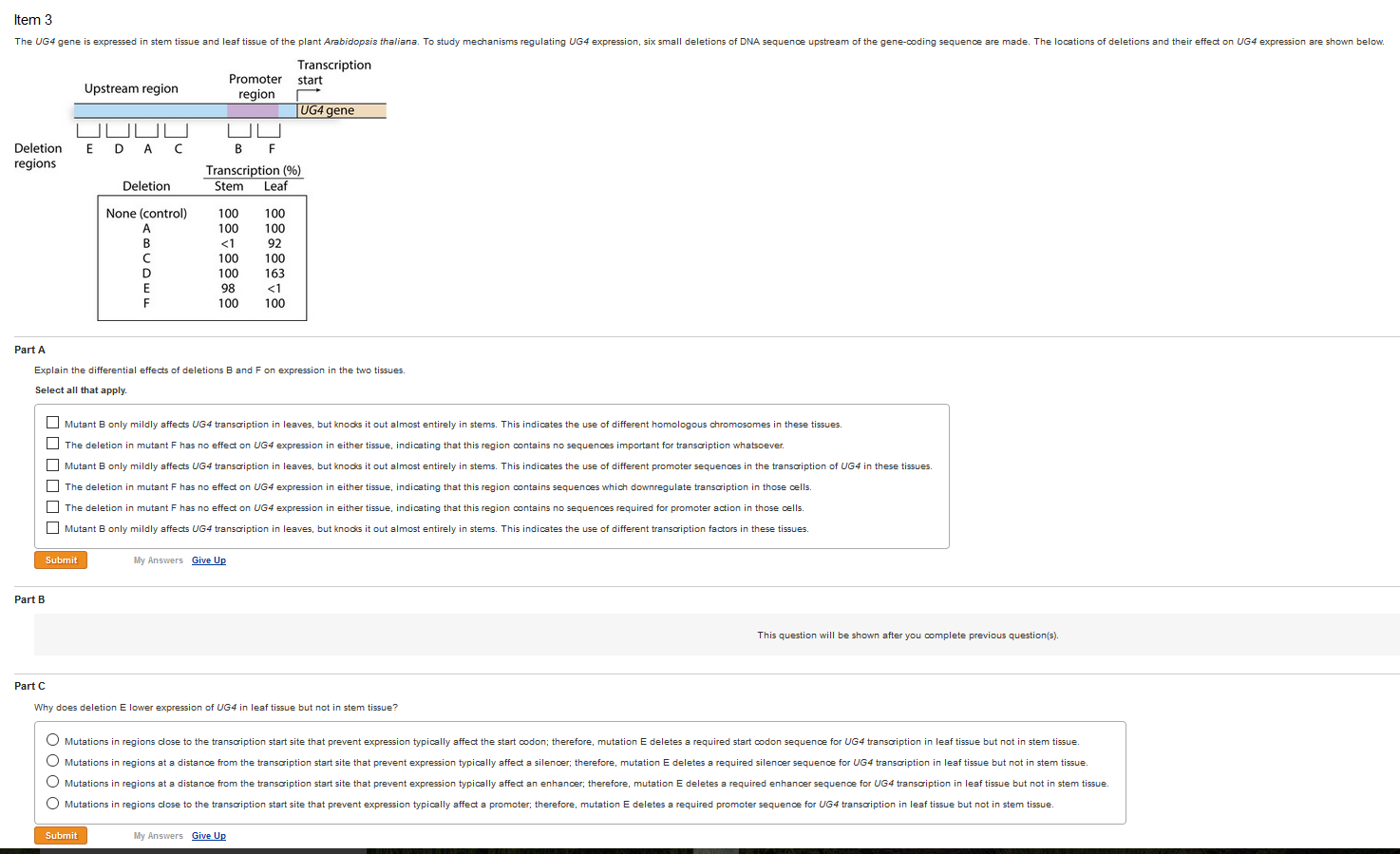 Solved The UG4 gene is expressed in stem tissue and leaf | Chegg.com