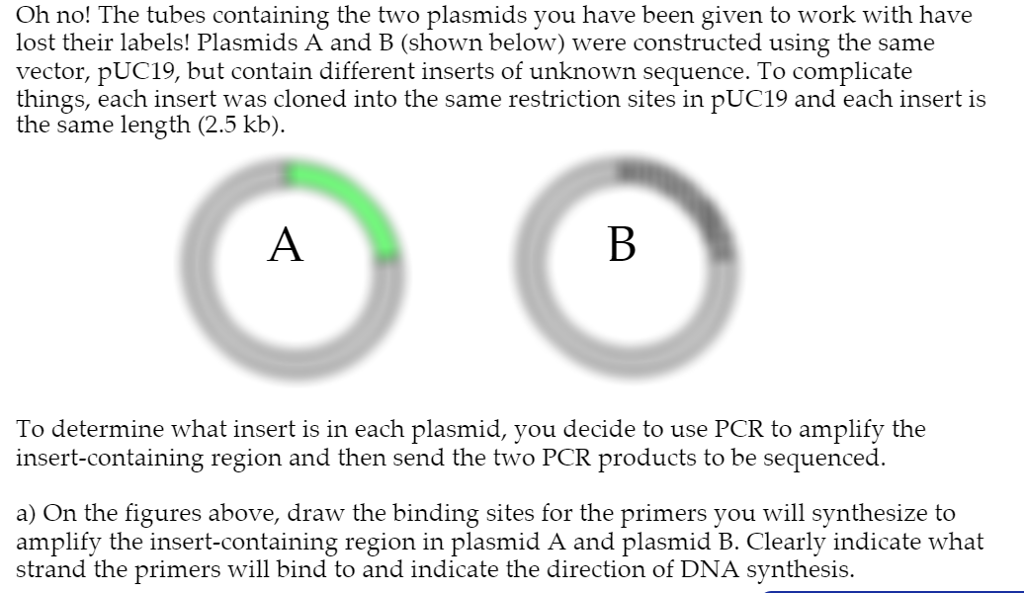 Solved Oh no! The tubes containing the two plasmids you have | Chegg.com