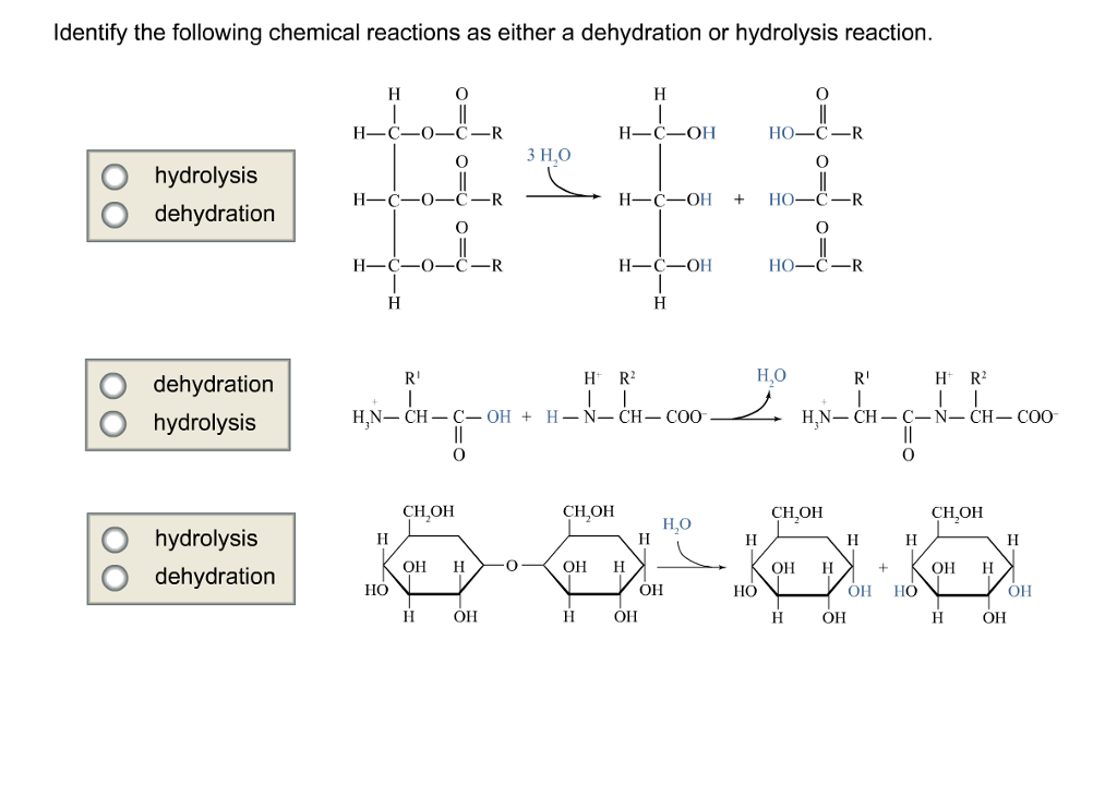 Solved identify the following chemical reactions as either a | Chegg.com