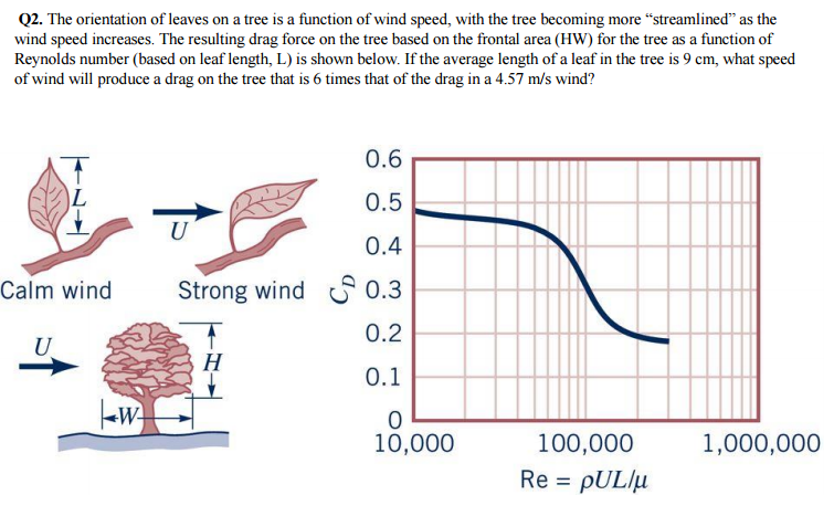 Solved The orientation of leaves on a tree is a function of | Chegg.com