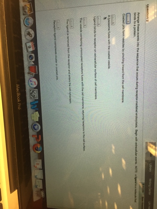Solved arrange these events into the sequence that occurs | Chegg.com