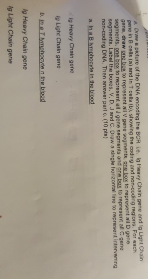 6. Draw a picture of the DNA encoding the BCR i.e. lg | Chegg.com