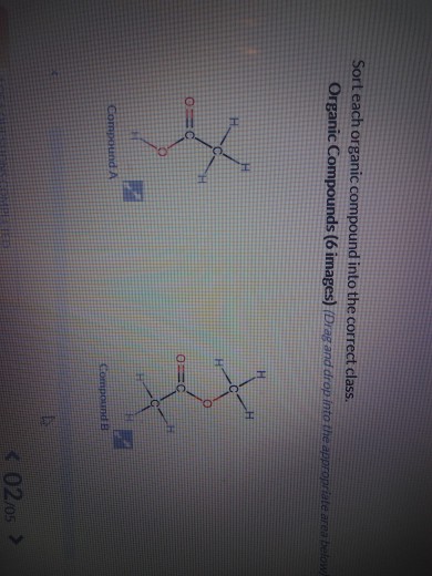Solved Sort each organic compound into the correct class. | Chegg.com