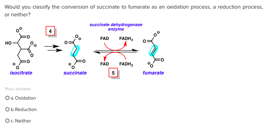 Solved Would you classify the conversion of succinate to | Chegg.com