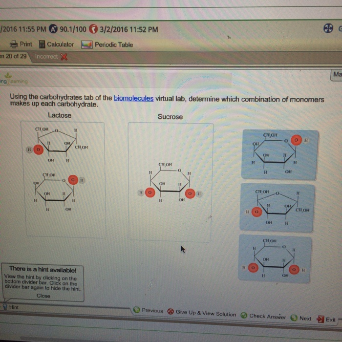 Solved Using the carbohydrates tab of the biomolecules | Chegg.com
