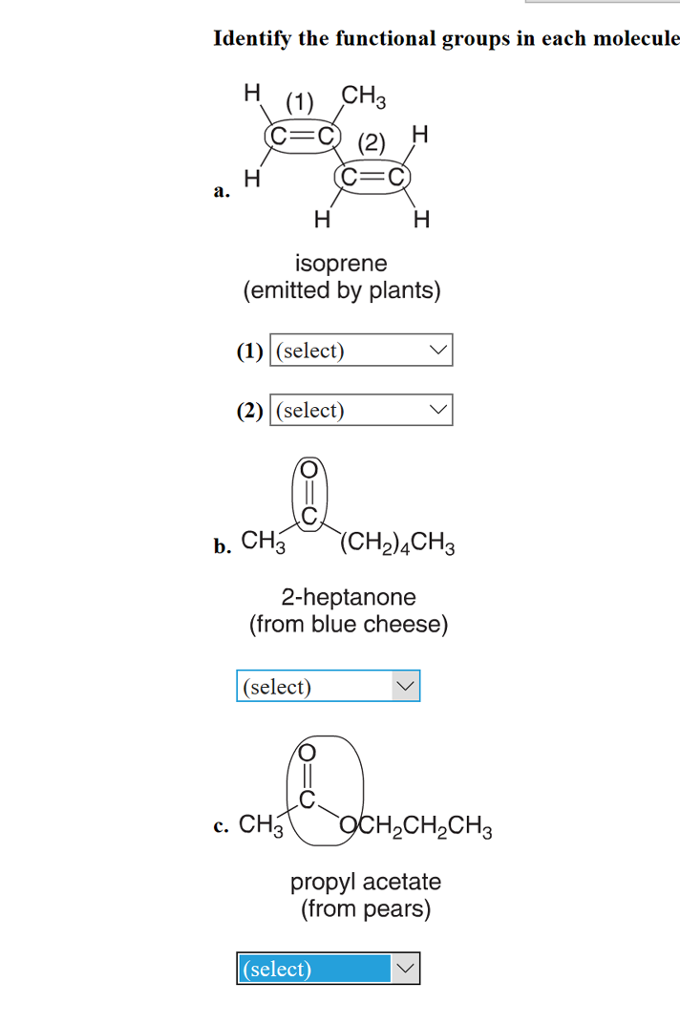 Identify the functional groups in each molecule CH | Chegg.com
