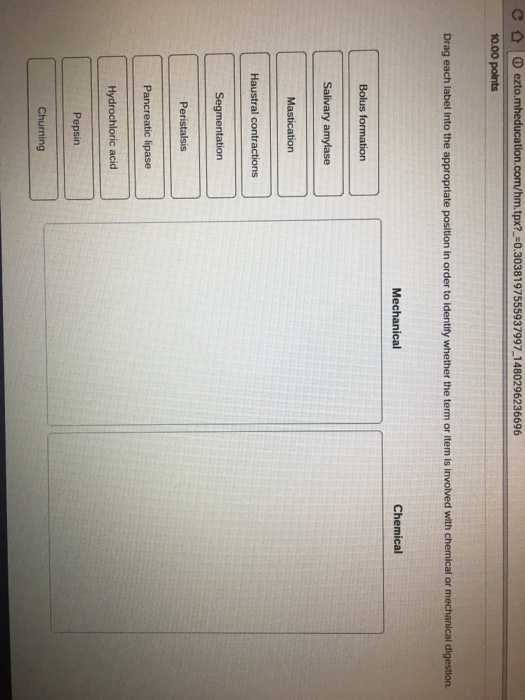 Solved Drag each label into the appropriate position in | Chegg.com