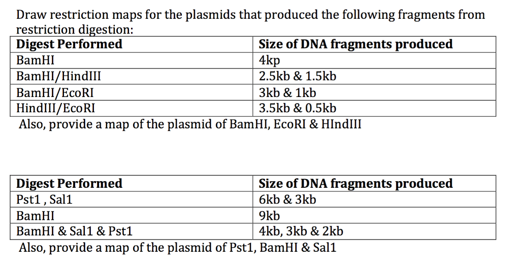 Solved Draw restriction maps for the plasmids that produced | Chegg.com