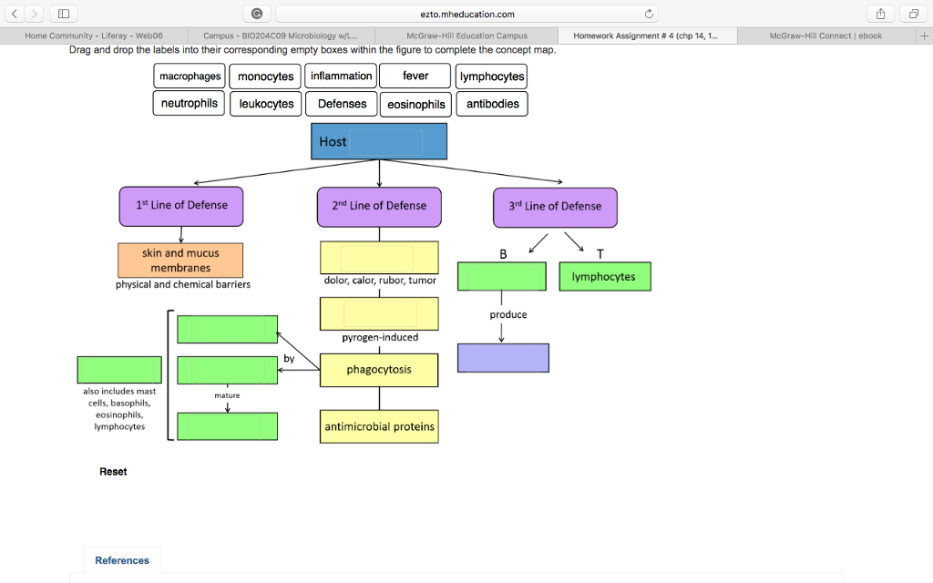 Solved: Drag And Drop The Labels Into Their Corresponding ... | Chegg.com