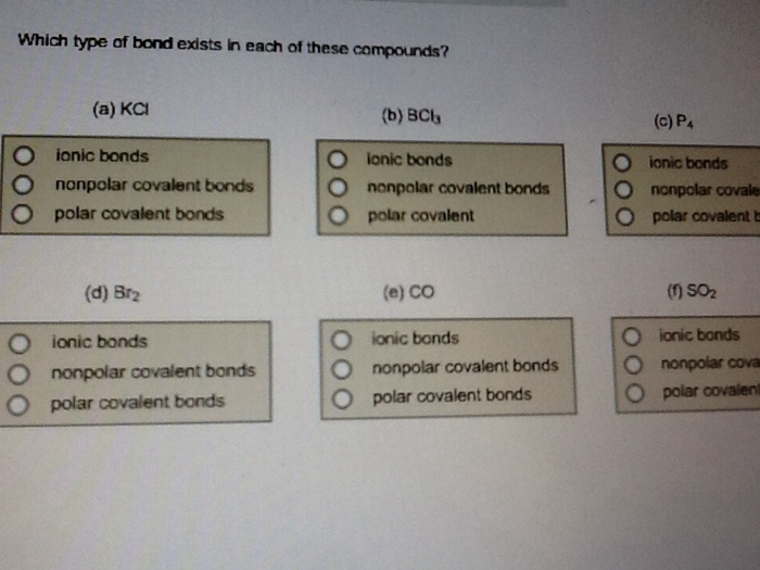 Solved Which type of bond exists m each of these compounds? | Chegg.com