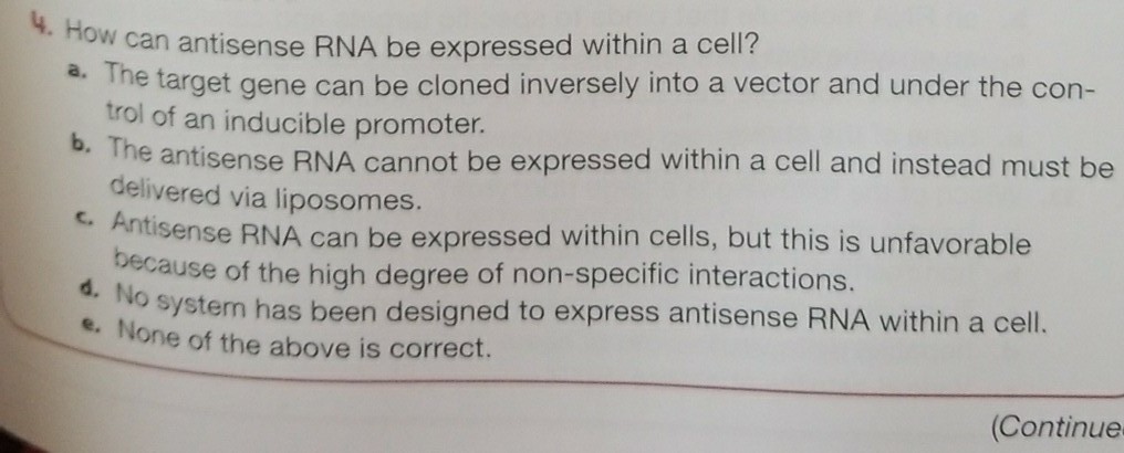 Solved can antisense RNA be expressed within a cell? a. The | Chegg.com