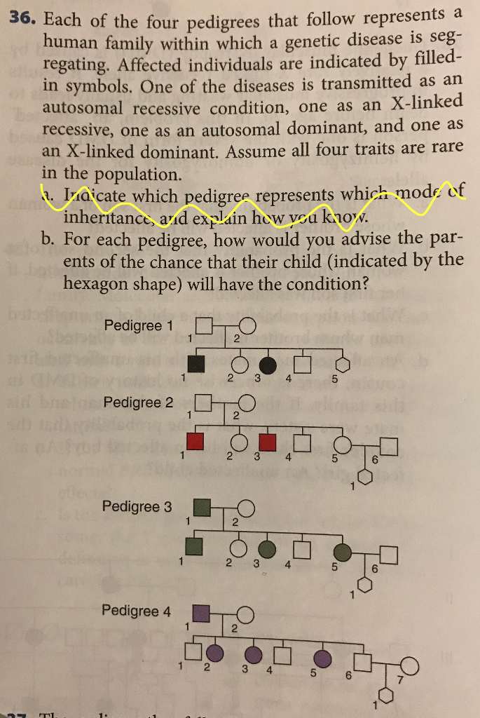 Solved GENETICS: I am super confused with the math behind | Chegg.com