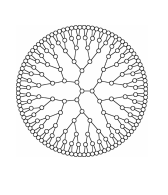 The Bethe lattice of coordination number c and r + 1 | Chegg.com