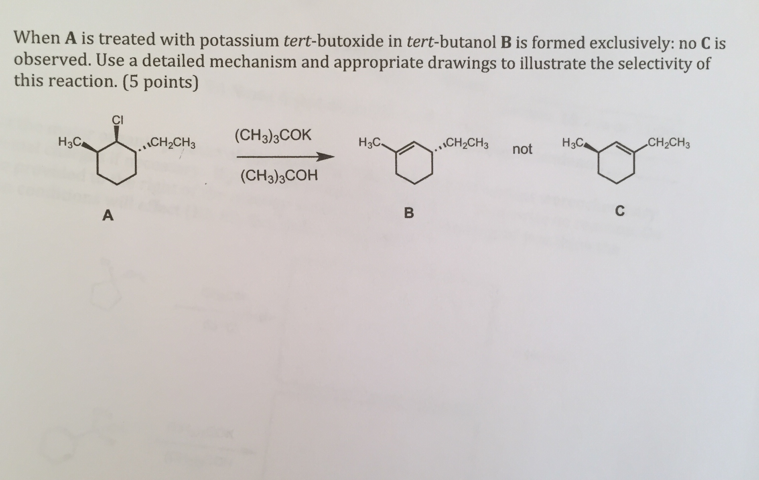 Potassium Tert Butoxide