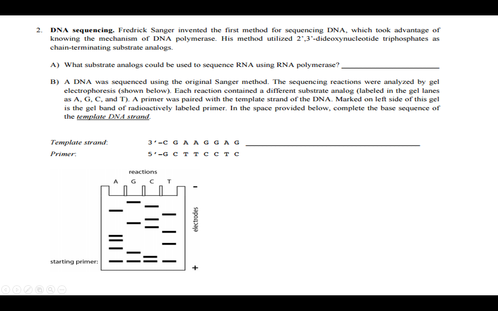 DNA sequencing. Fredrick Sanger invented the first | Chegg.com