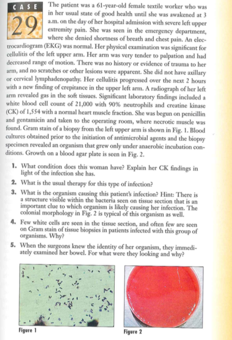 Please answer each case study individually with | Chegg.com