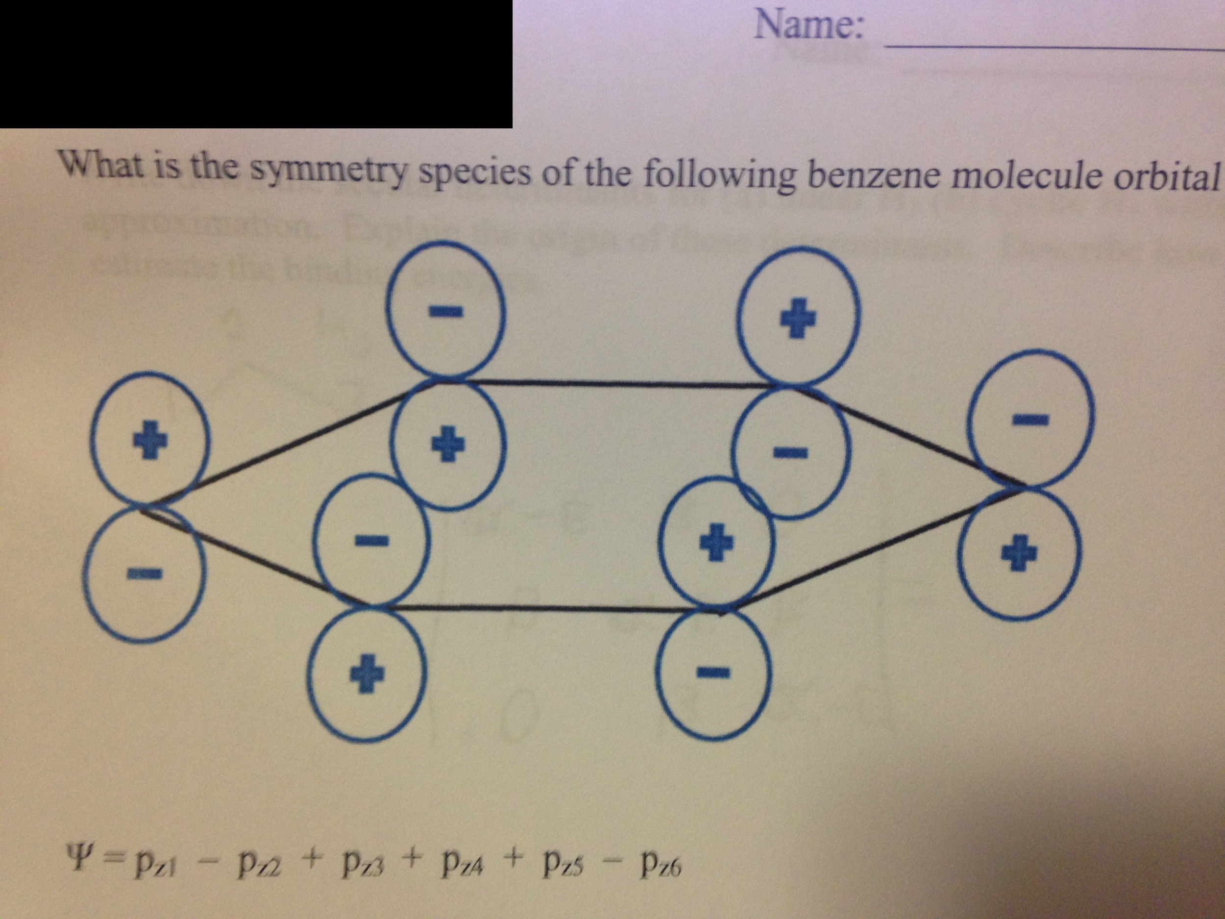 The symmetry species of this specific benzene | Chegg.com