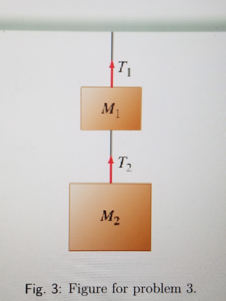 Solved Two blocks with masses M1 and M2 hang one under the | Chegg.com