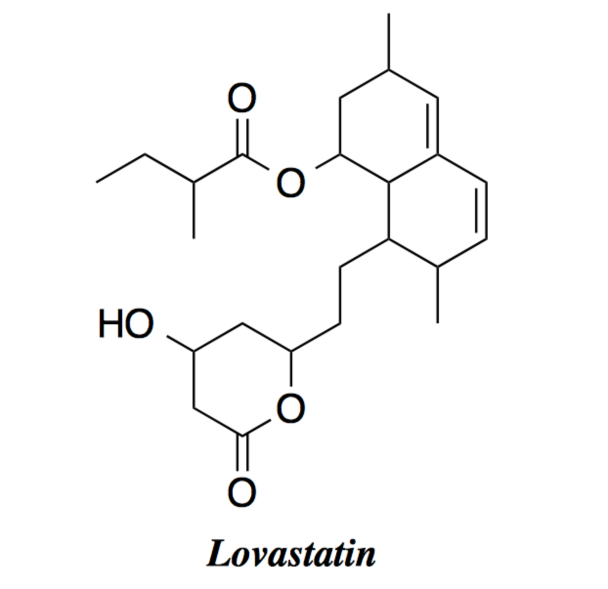 Lovastatin is a member of the statin class | Chegg.com