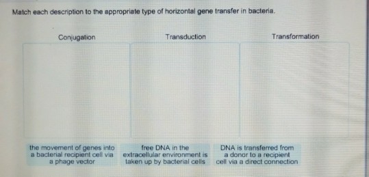 Solved Match each description to the appropriate type of | Chegg.com