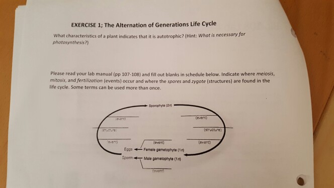 Solved EXERCISE 1; The Alternation of Generations Life Cycle | Chegg.com