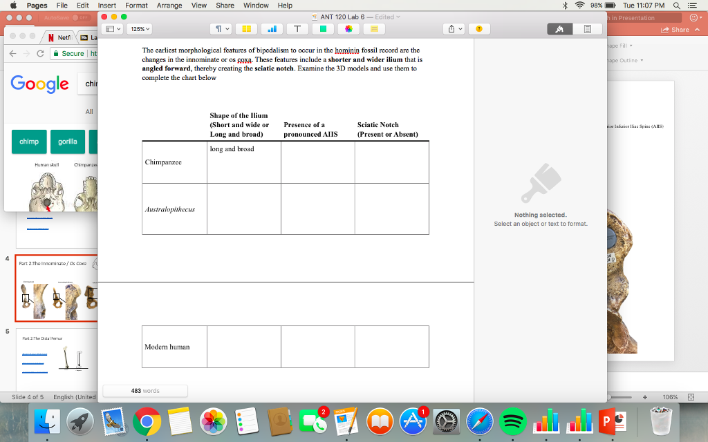 Solved Pages File Edit Insert Format Arrange View Share | Chegg.com