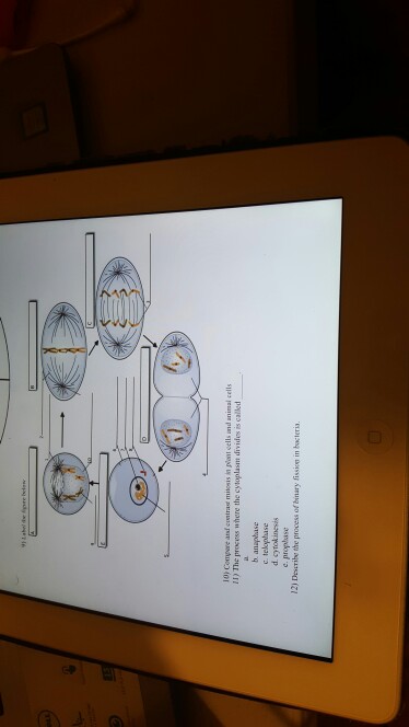 Solved 10) Compure and contrast misosis in plont cells and | Chegg.com