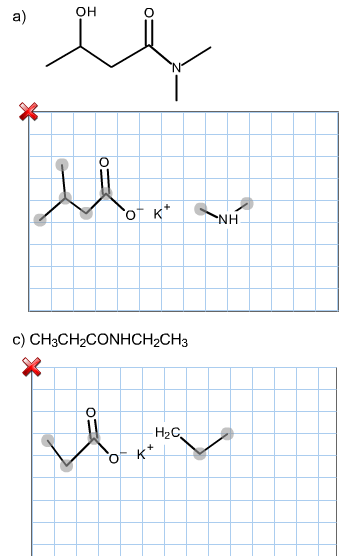 Solved Draw the products formed when the following amides | Chegg.com