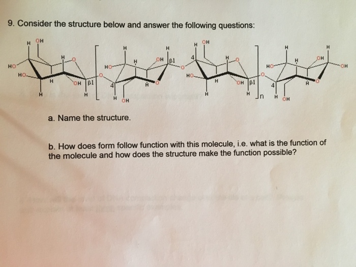 Solved how does the form follow function with this molecule, | Chegg.com