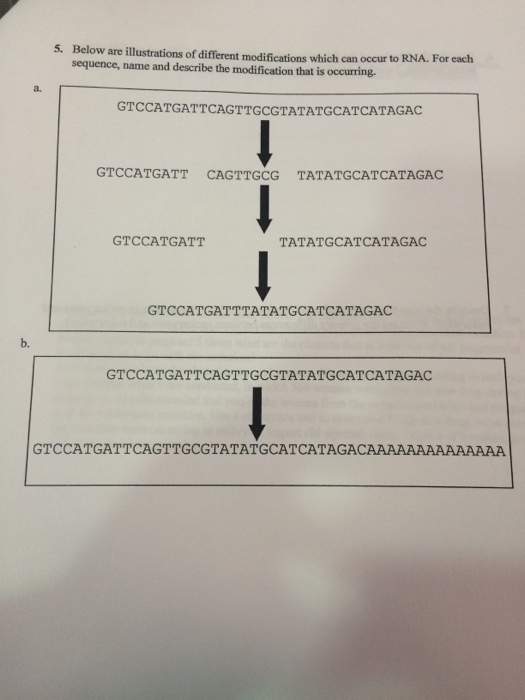 Solved Below are illustrations of different modifications | Chegg.com