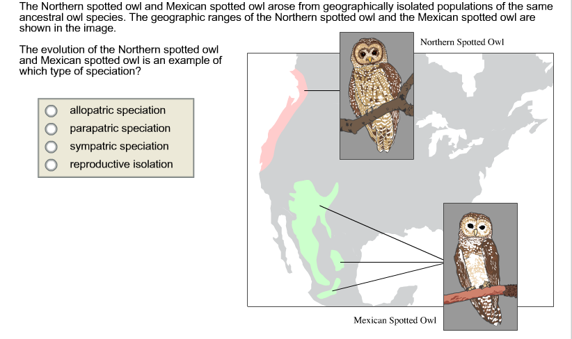 Geographic Isolation Examples