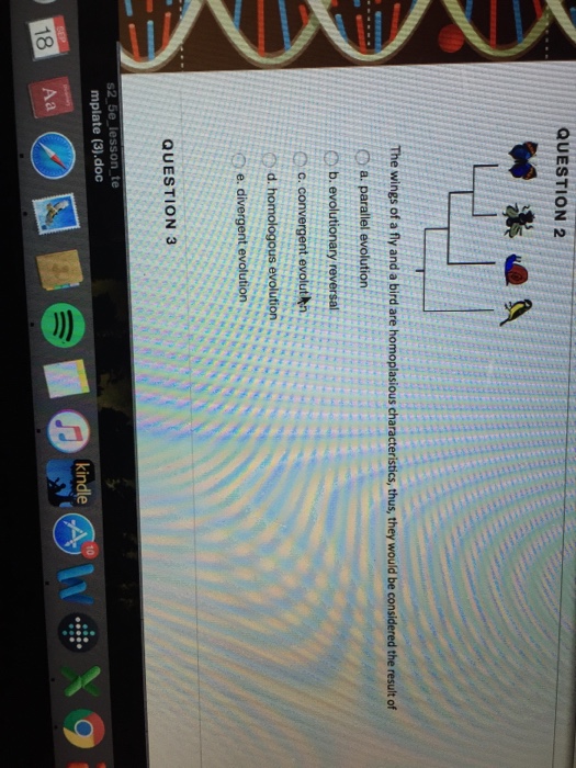 Solved The wings of a fly and a bird are homoplasious | Chegg.com
