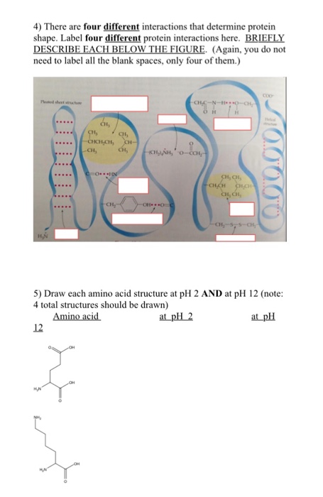 Solved There are four different interactions that determine | Chegg.com