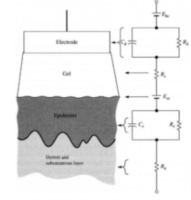 Solved Consider the circuit model for the electrode - skin | Chegg.com