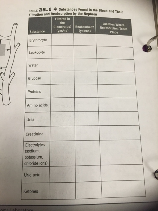 Solved Substances Found in the Blood and Their Filtration | Chegg.com