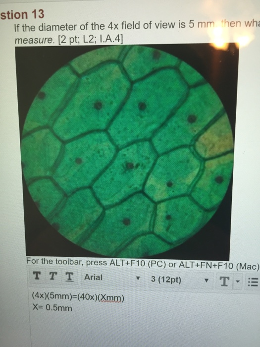 Solved If the diameter of the 4x field of view is 5mm, then | Chegg.com