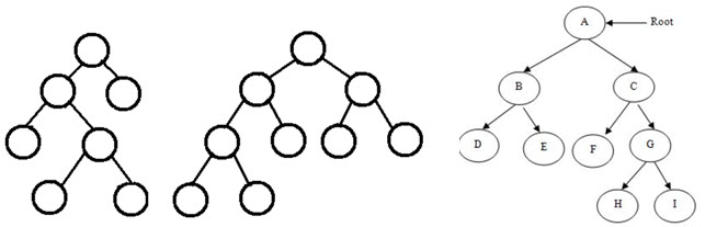 Solved From the three trees, which one is a complete binary | Chegg.com