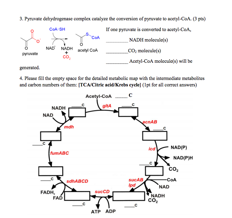 Solved Pyruvate dehydrogenase complex catalyze the | Chegg.com