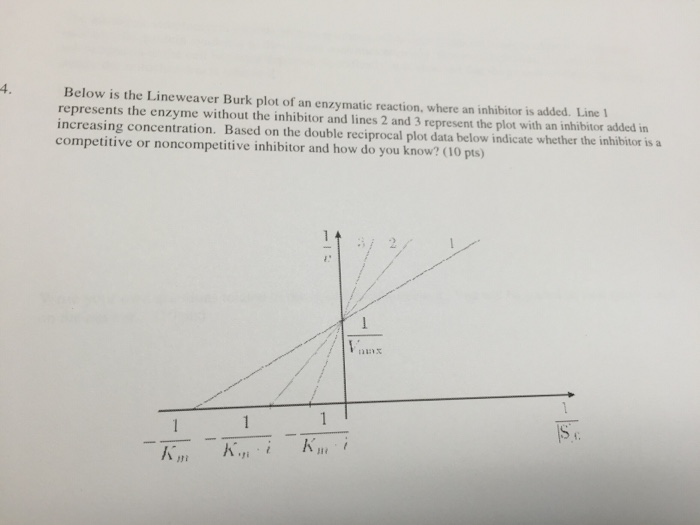 Solved Below is the Lineweaver Burk plot of an enzymatic | Chegg.com